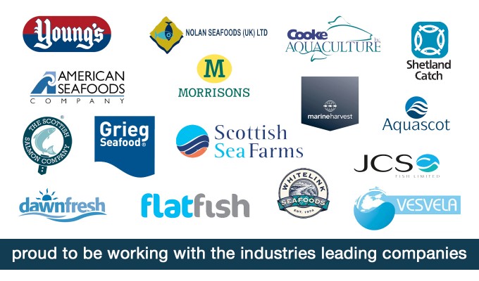 New and Used Seafood Processing Equipment | Seafood Technology Limited